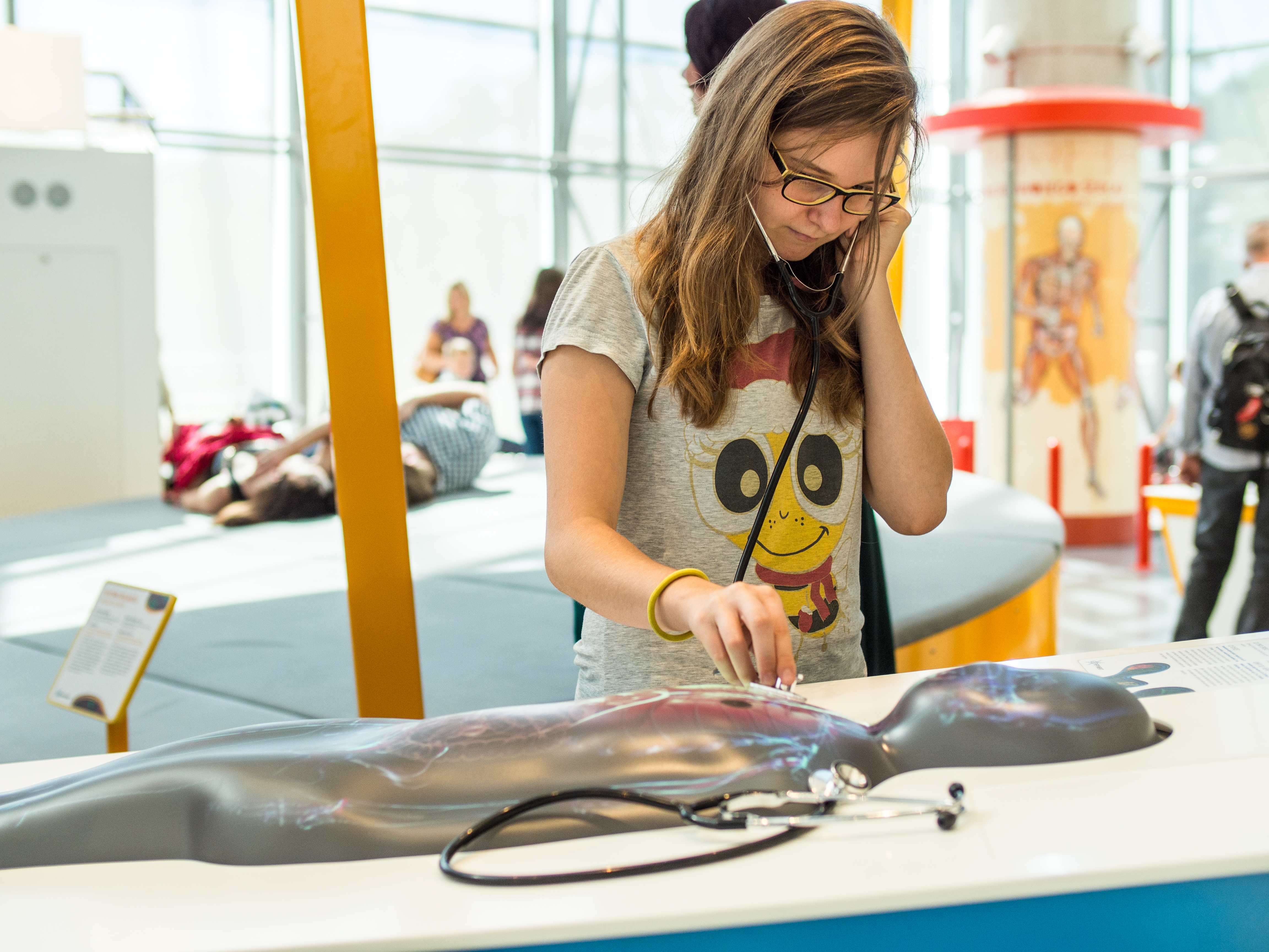 Corporea, il museo interattivo del corpo umano a Città della Scienza