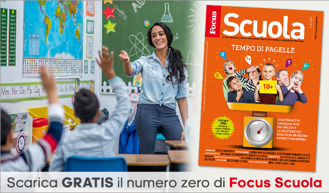Focus Scuola, la nuova rivista per gli insegnanti di scuola primaria e ...
