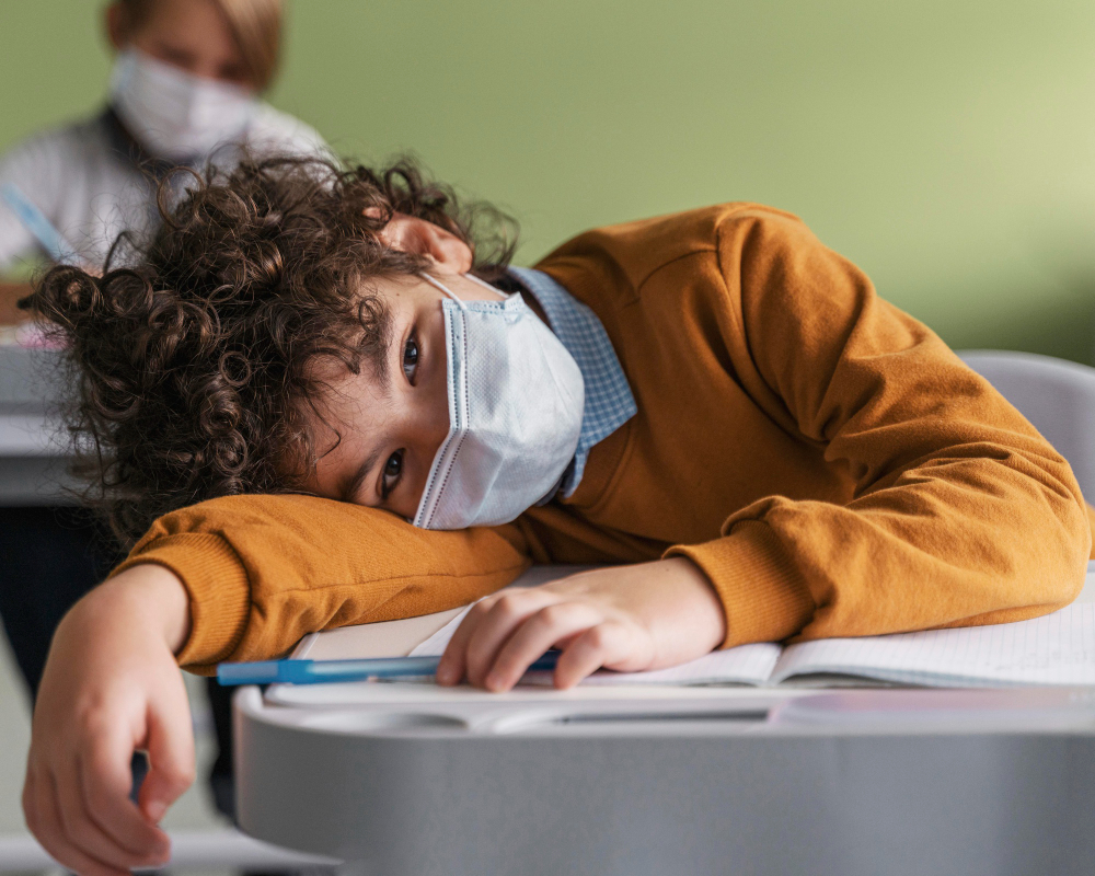 Classi pollaio: l’origine di quella pesante e irrisolta criticità del ... Classi pollaio: l’origine di quella pesante e irrisolta criticità del ...